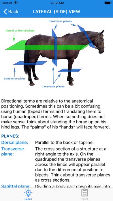 Equine Anatomy Learning Aid iOS Download No Jailbreak - Panda Helper